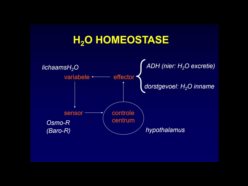 Unnamed Presentation